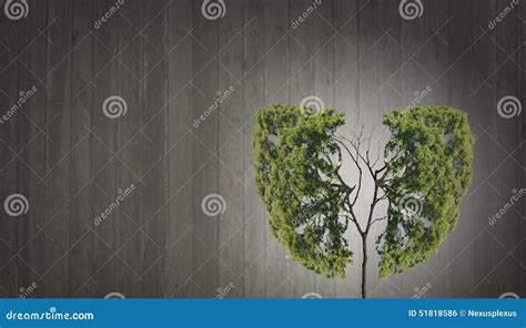 Air Pollution Stock Photo Image Of Protection Organ