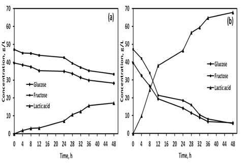 Effect Of Yeast Extract On Lactic Acid Production In Batch