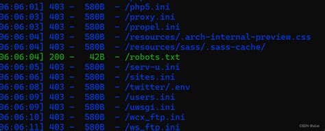 【刷题记录】攻防世界web php wrong nginx config csdn博客
