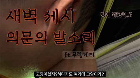 백패킹 Vlog 백린이의 무의도세렝게티 멘붕모험기 무렝게티 지름길백린이호룡곡산쓰레기섬무렝게티백패킹무렝게티 가는 법 무의도 백패킹니모아톰 2p인천 백패킹