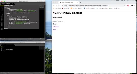 Problème Dapplication Du Css Niveau Débutant Par Pelmer Page 1