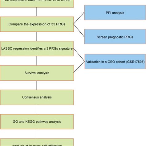 The Specific Workflow Graph Of Data Analysis Download Scientific Diagram