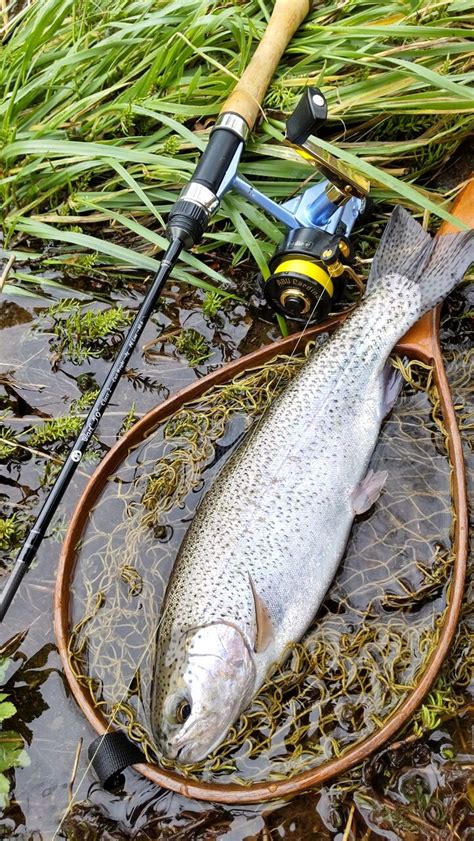 春の遠征釣行と地元の恵 Sakura Lure Division 釣行記