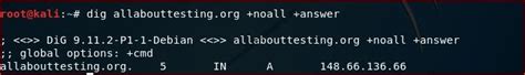 Top 12 Examples Of Linux Dig Command All About Testing