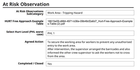 Case Study Boosting Workplace Safety With Custom Behavioral Based Workflows SEE Forge