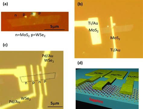 Device Fabrication Of Two Dimensional Lateral Quasi Heterojunction Download Scientific Diagram