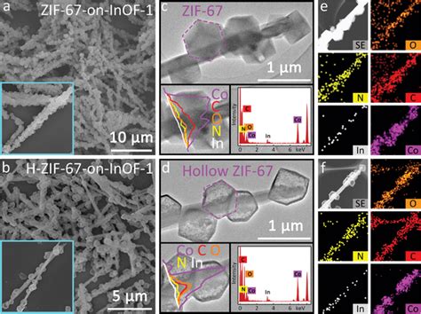 Ab Sem Images Cd Tem Images Line‐scan Profiles And Eds Spectra