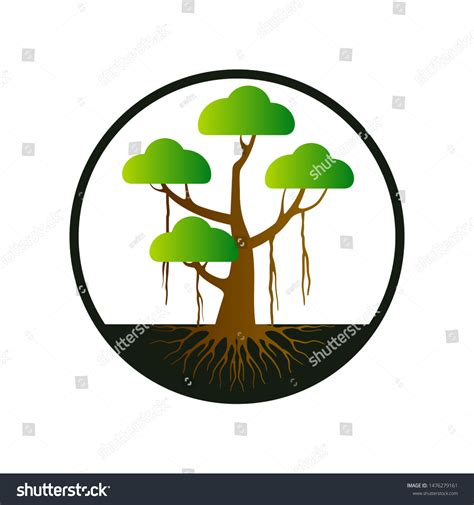 Mangrove Tree Roots Logo Design Vector Stock Vector Royalty Free Shutterstock