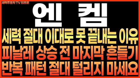 엔켐 주가전망 세력 절대 이대로 못 끝내는 이유 피날레 상승 전 마지막 흔들기 반복 패턴 절대 털리지 마세요