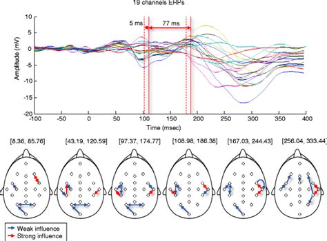 Temporal Evolution Of Causal Interactions Resulting From Pgc Erp In Download Scientific Diagram