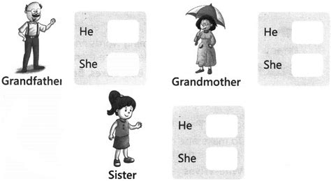 Naming Words Worksheet Exercises For Class Examples With Answers CBSE