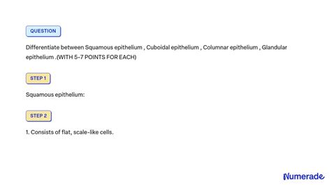Solved Differentiate Between Squamous Epithelium Cuboidal Epithelium