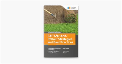 ‎sap S 4hana Rollout Strategies And Best Practices By Ausra Gustainiene