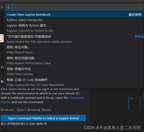 Vs Codejupyter Notebook 远程连接深度学习服务器，并配置环境connect To A Jupyter Server