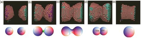 Coalescence Dynamics Spherical Nucleic Acids 4 Volumes