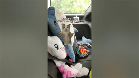 I Was In My Car And Got So Excited Critterspace Youtube