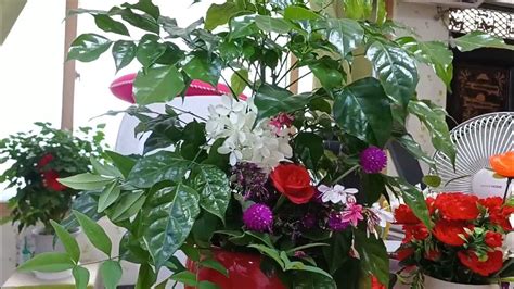 은혜로운 복음성가 6곡 연속듣기 Youtube