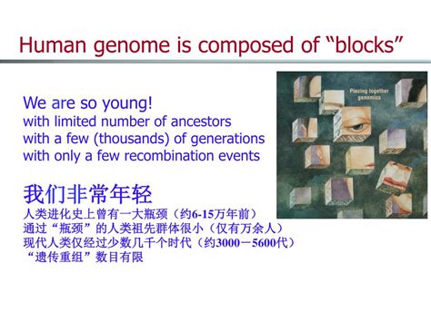 Ppt Gene Variations Single Nucleotides Polymorphism And Copy Number Variation Powerpoint