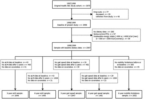 Flowchart Of Participants Included In The Statistical Analyses Alm Download Scientific