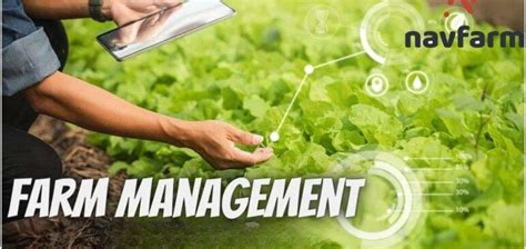 How Does Livestock Management Software Work? Explained | by Navfarmofficial | Medium