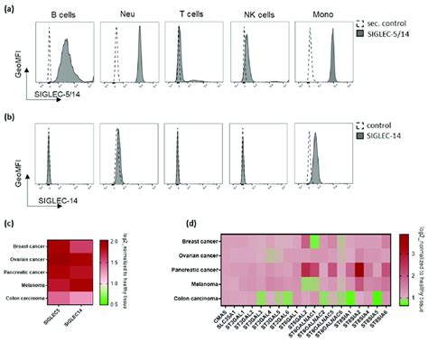 Immune Receptors Siglec 5 And Siglec 14 And Enzymes Responsible For