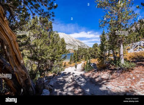 Hiking Trail Following The Shoreline Of Long Lake Little Lakes Valley
