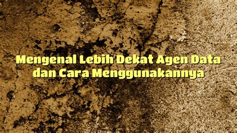 Mengenal Lebih Dekat Agen Data Dan Cara Menggunakannya Dealer Pulsa