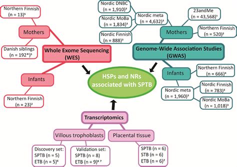 Summary Of The Datasets Used In Datamining A Genome Wide Association Download Scientific