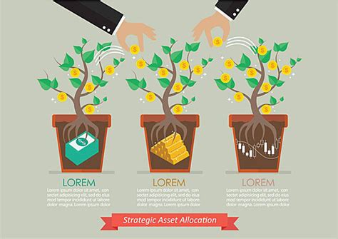 Rebalancing Portfolio Asset Allocation Portfolio Infographic Percentage Vector Portfolio