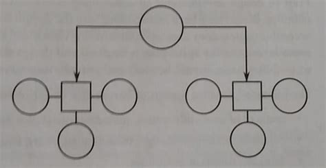 Topic 1 Programming And Site Analysis Flashcards Quizlet