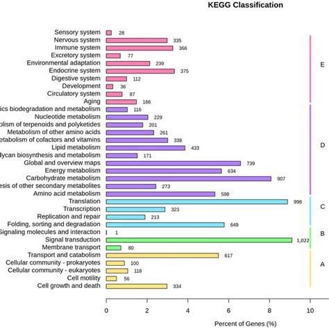 Kyoto Encyclopedia Of Genes And Genomes Classification Of 9743