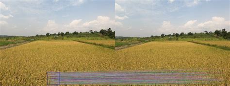 feature matching of bounding box on left image with entire right image