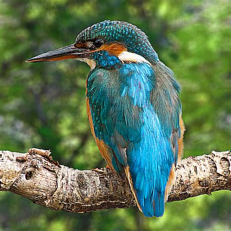 3x3 Convolution Matrix Effect