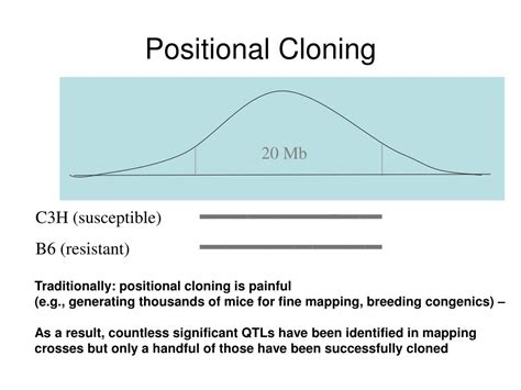 PPT Accelerating Positional Cloning In Mice Using Ancestral Haplotype Patterns PowerPoint