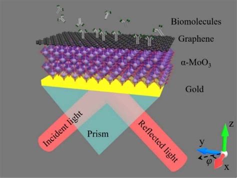 A Schematic Diagram Of The α Moo3graphene Enhanced Spr Biosensor