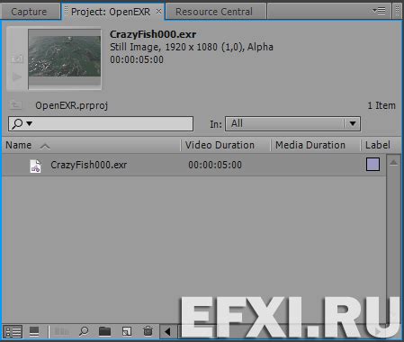 Импорт OpenEXR последовательности