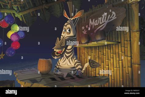 Marty De Madagascar Marty By Dracoawesomeness On Deviantart