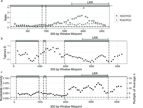 sliding windows of within species polymorphism and divergence between