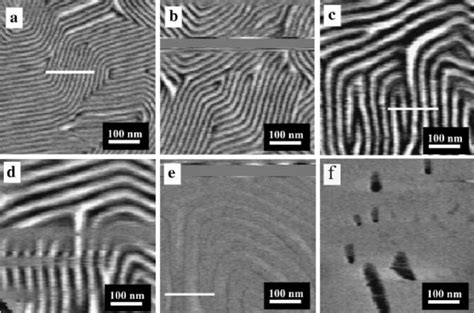 A F Time Resolved Atomic Force Microscopic Imaging Of The Action Of Download Scientific