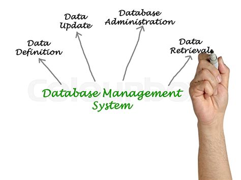 Diagram Of Database Management System Stock Image Colourbox