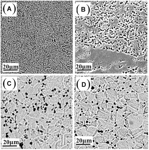 Microstructures Of Fe 40 Mn 20 Cr 20 Ni 20 Hea At Different