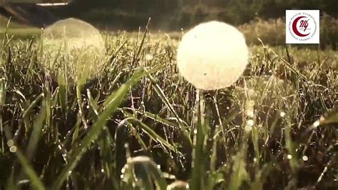 მონანიება Youtube