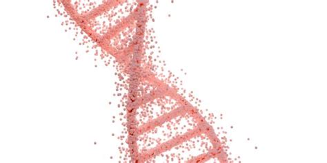 Career Opportunities As A Biostatistician