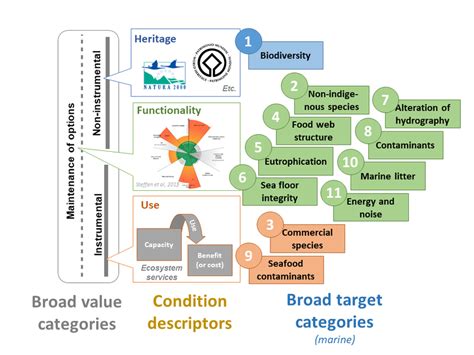Linkages Between Categories Of Ecosystem Condition Indicators Broad