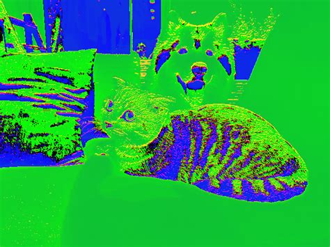 How To Apply A 2d Convolution Operation In Pytorch