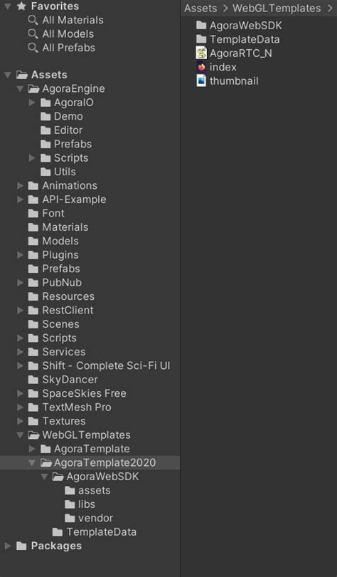 Solved FAQ Reference Error UnityHooks Its Not Defined Issue AgoraIO Community Agora