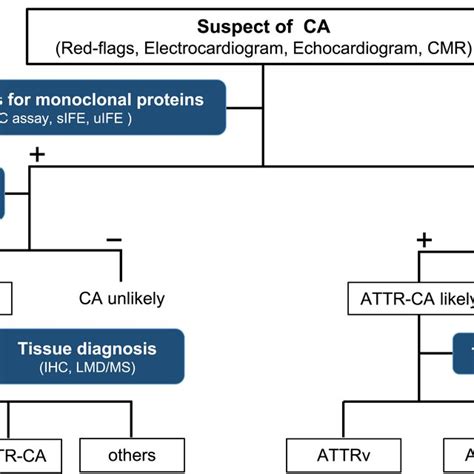 Diagnostic Algorithm For Patients With Suspected Cardiac Amyloidosis Download Scientific