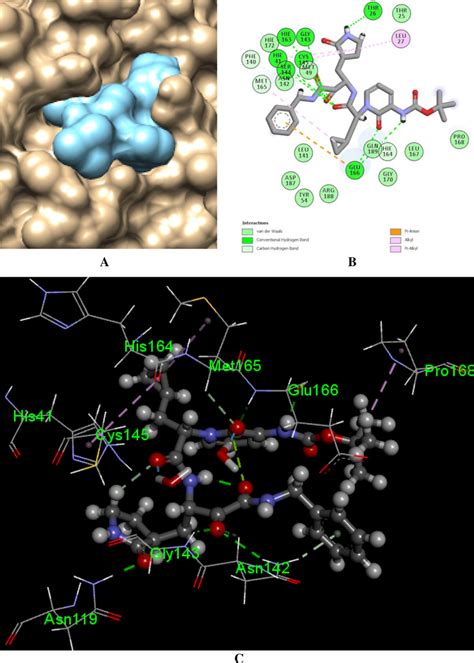 A 13b Docked To 3clpro B 2d Structure Of 13b Docked To 3clpro And Download Scientific