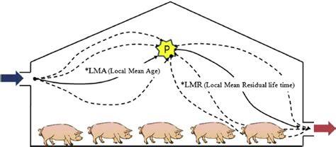 E The Concepts Of Lma And Lmr Based On The Age Of Air Continuous Line Download Scientific