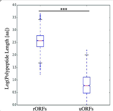 length distribution of upstream open reading frames uorfs and